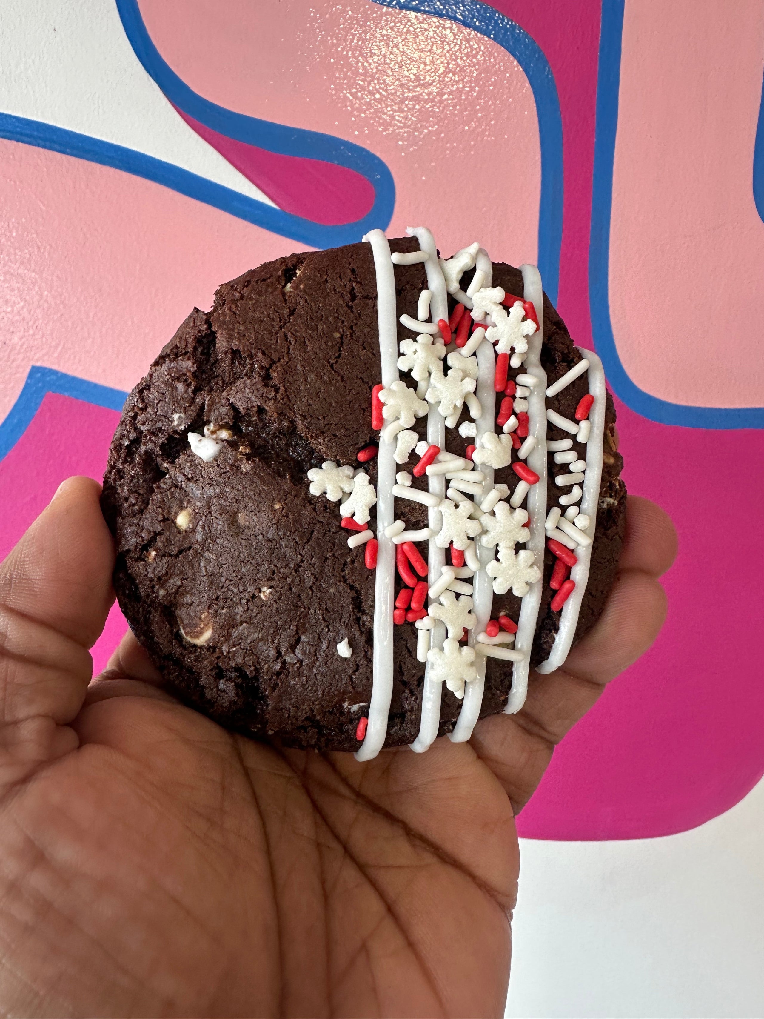 CHRISTMAS IN HOLLIS | HiFi Cookies | Made with Sugar & Soul in Nashville TN